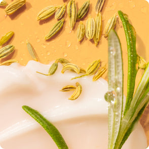 Our Ingredients – eos