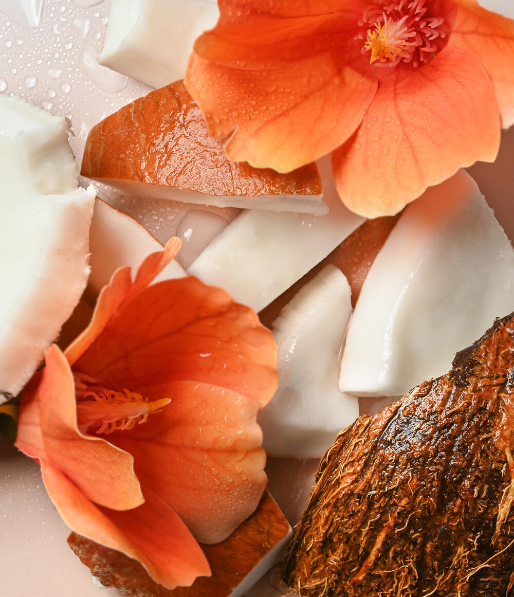 What Are Fragrance Notes? | Scent Profiles Explained