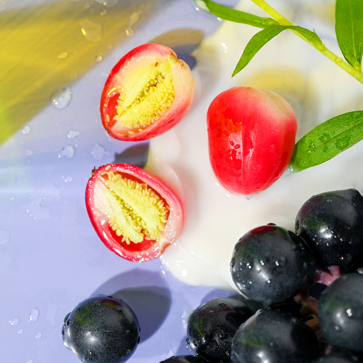 Fresh Hand Cream | Shea Better Fresh & Cozy Hand Lotion by eos